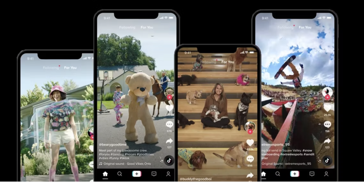 Introduction to the TikTok recommendation system