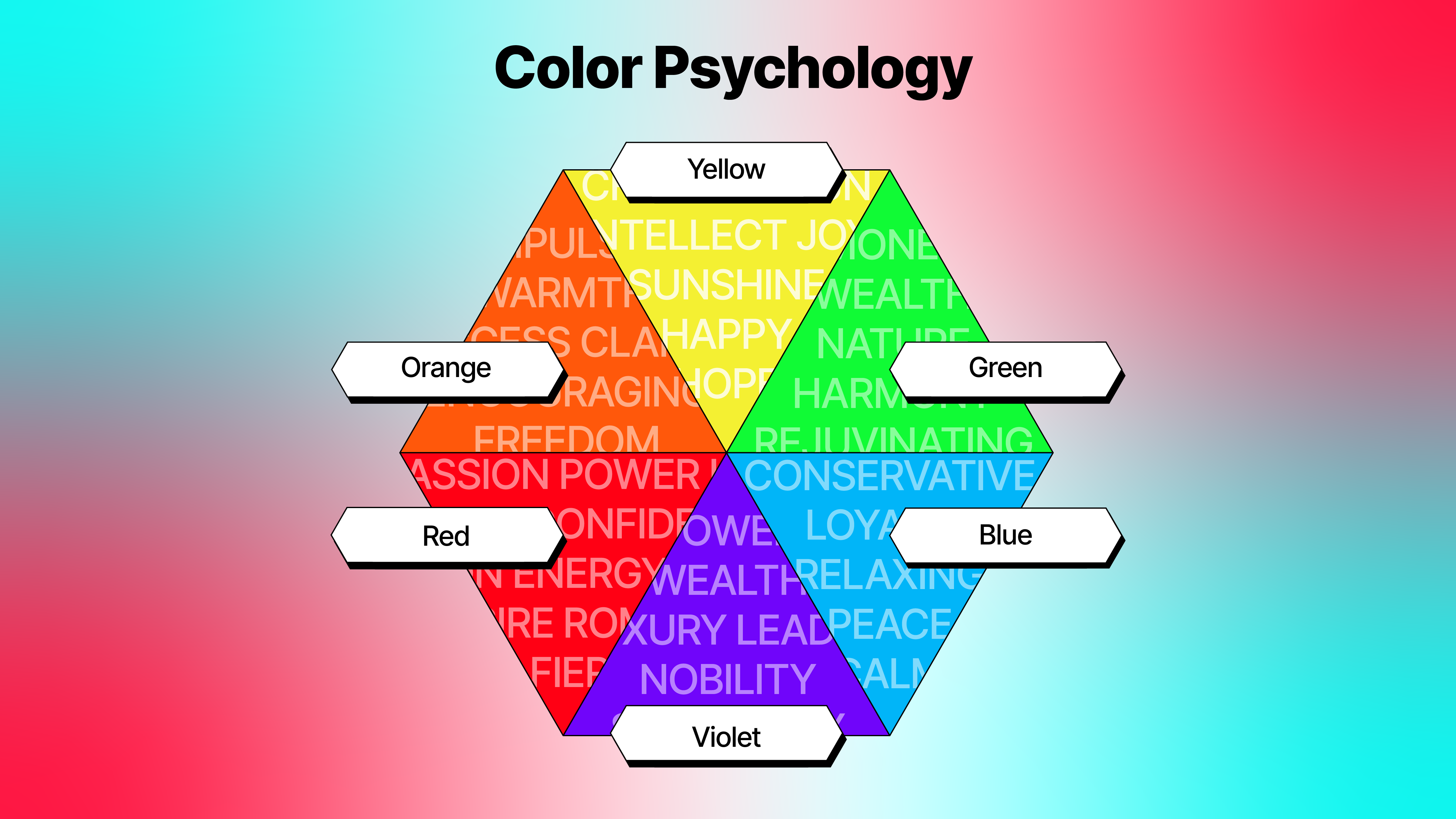 Creator Academy: Empowering Creators to Grow and Succeed | TikTok For ...