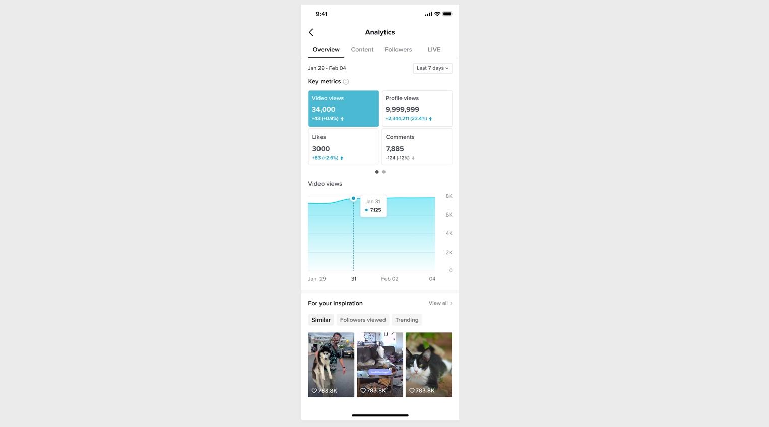 Creator Academy: Empowering Creators to Grow and Succeed | TikTok For ...